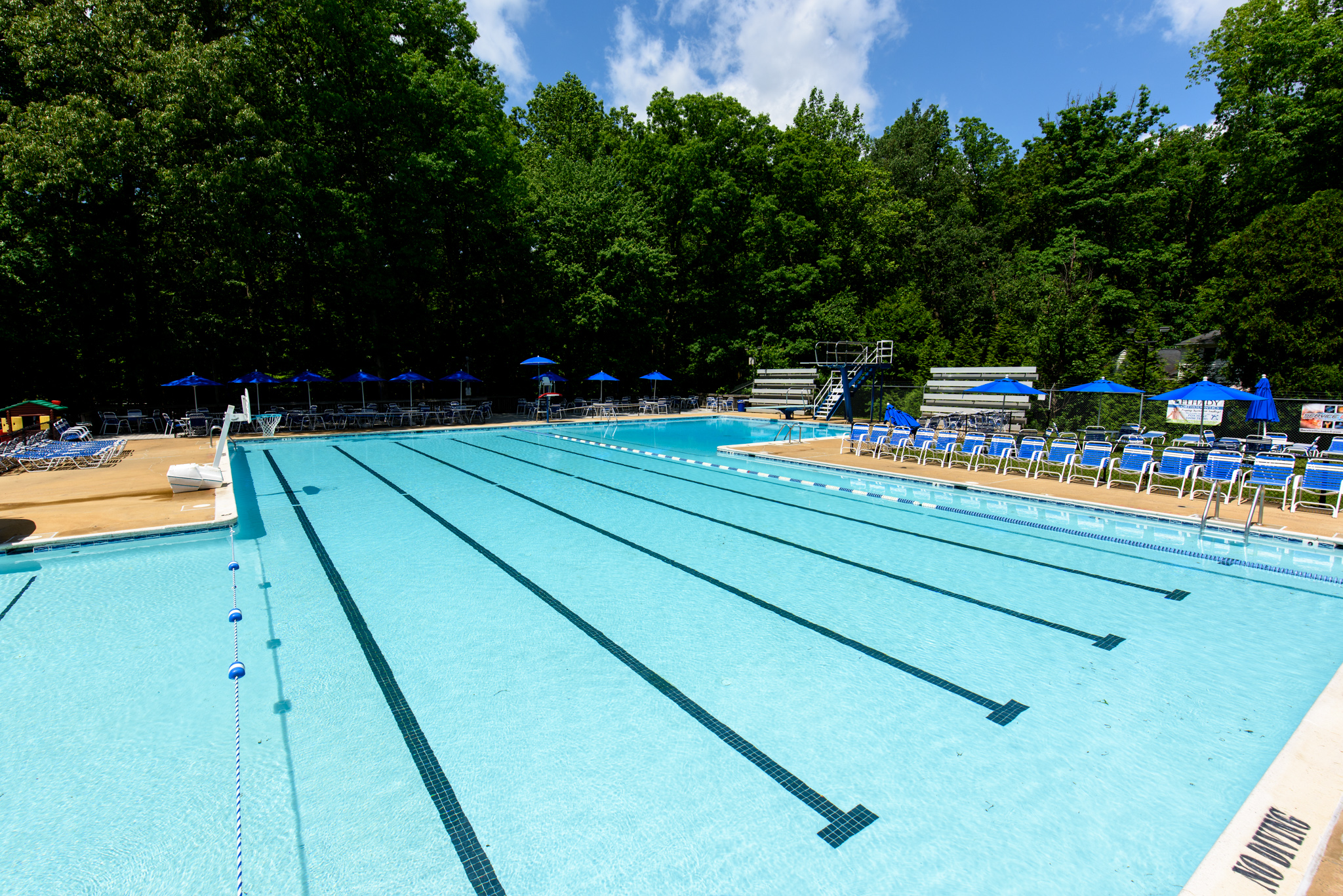 Welcome Fox Hunt Swim Club Members! - The Yi Team - Mortgage on a Mission